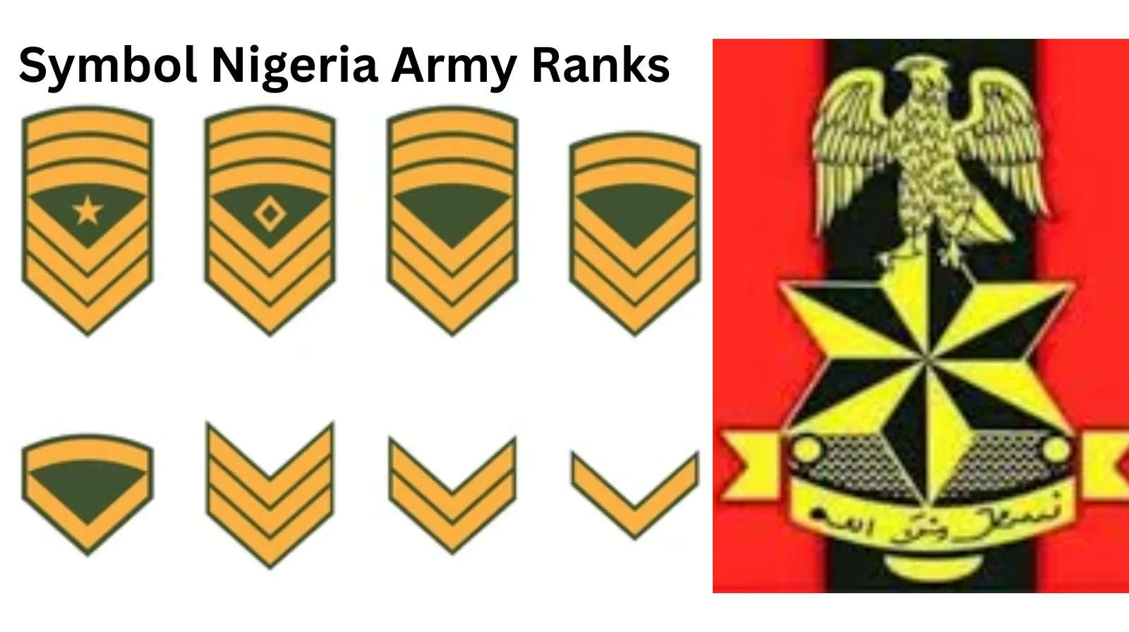 Nigerian Army Ranks And Symbols 2025: Complete Guide With Insignia